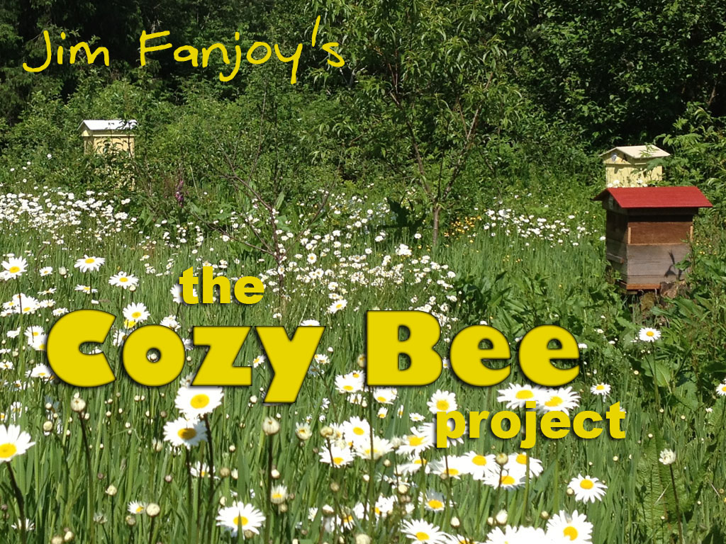 Cozy Bee Project | PeaceCrops